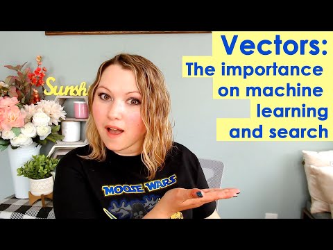 Vectors + the importance of vectors in machine learning and search