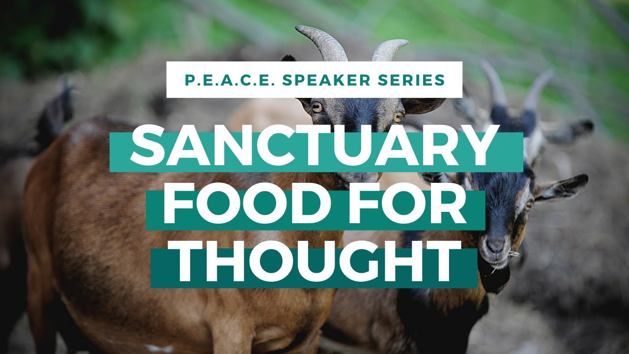 Food For Thought For Sanctuaries | The Open Sanctuary Project | P.E.A.C.E. Speaker Series