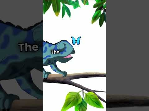 Mimicry in animals