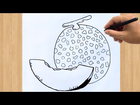 How to Draw a Cantaloupe Step by Step – I'm Youtuber – Follow my videos ...