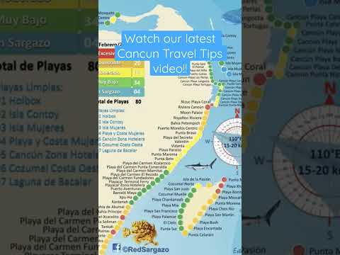 Cancun Seaweed Map!! See if where you are going has seaweed 👇🏻 #travel #traveltips #mexico