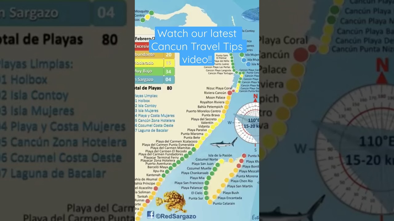 Cancun Seaweed Map!! See if where you are going has seaweed 👇🏻 #travel #traveltips #mexico