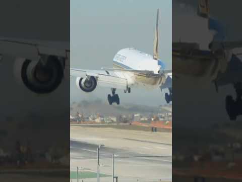 Spectacular Arrivals @LAXairport1: Singapore, British, Asiana, Delta