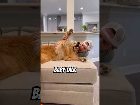 5 Insane Things Only Dog Parents Do!