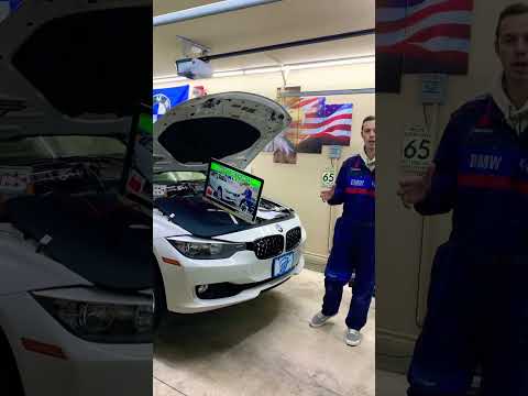 BMW Transmission Shifter Fuse ? #bmw #f30 #bmwf30 #f31 #bmw3series #where #shorts #viral #fix #fuse