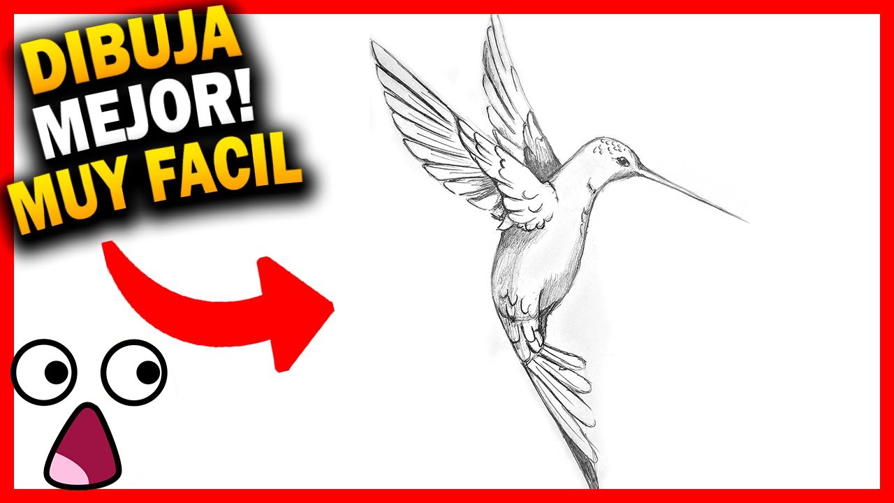 Cómo 🅳🅸🅱🆄🅹🅰🆁 un COLIBRI REALISTA paso a paso 🐦 *Dibujos a lápiz* [MUY FÁCIL]
