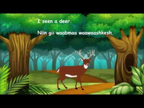 Anishinaabemang - In the Anishinaabe language - Barn 2020