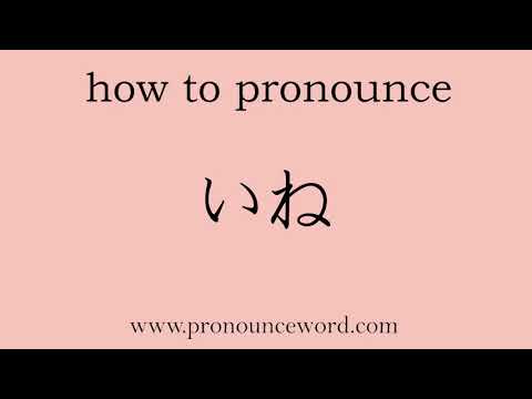 how to pronounce Rice in japanese.Learn Japanese Pronunciation.Learn いね .correctly.