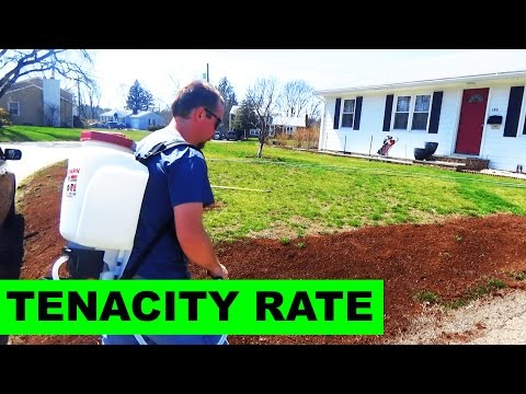 How to apply Tenacity during seeding - Tenacity Seeding Rate
