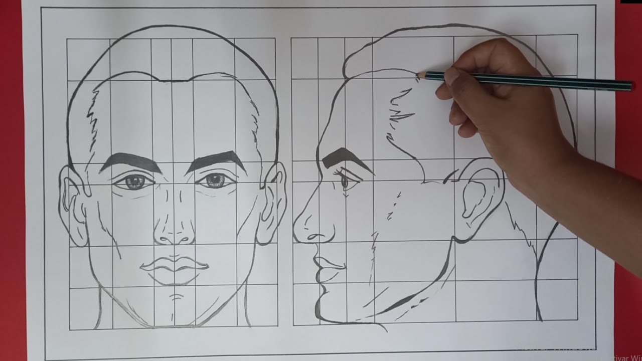 PROPORTION OF THE MALE HUMAN HEAD (Front and Profile View)