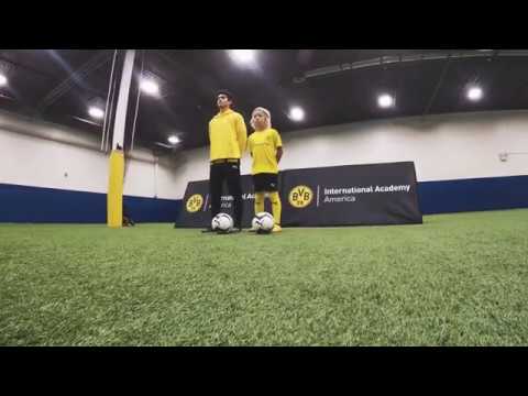 BVB International Academy Chicago North - VIRTUAL TRYOUTS 2020/2021