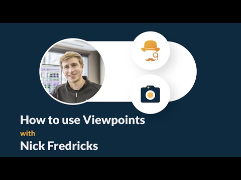 How to use Viewpoints - FlyPaper Academy