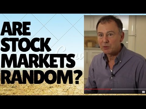 Is the Stock Market a Random Walk?
