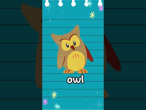 Words that Start with Letter Oo #lettero #teacherlistv