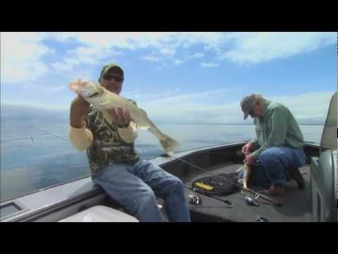 The facts about Invasive Species
