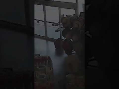 Duo wanted after failed theft attempt at Save Mart in Fresno CA