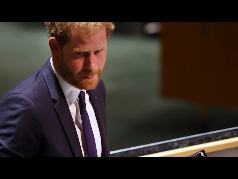 Prince Harry's memoir should be called 'Whinge' instead of 'Spare'