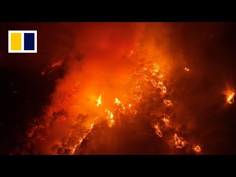 Four killed in South Korea’s wildfires