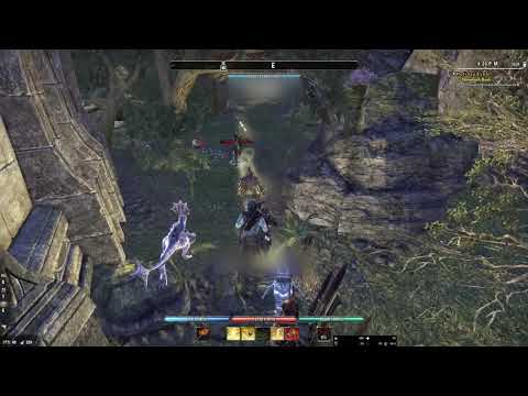 [Video] Chinese Train Bots? — Elder Scrolls Online