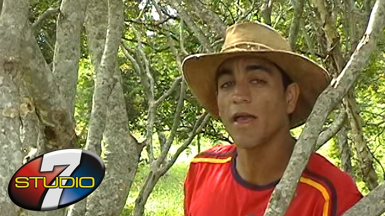 Weslley e Ygor NOITE DE NATAL