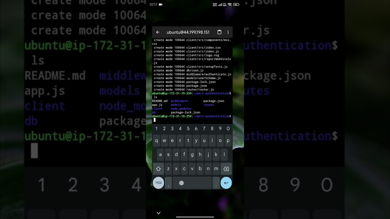 Deploy react full stack app to server via Github actions