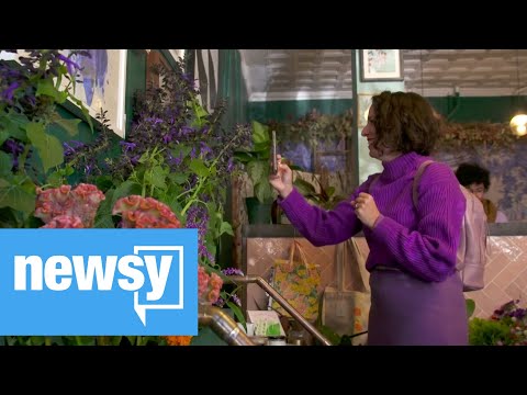 Dream Jobs: Art consultant