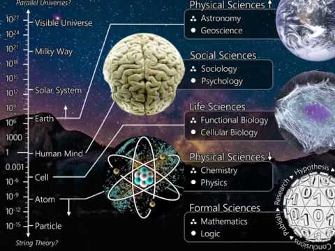Example of Scientific laws and theories