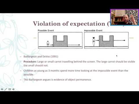 Cognition and development Lesson 4 Baillergeon's theory