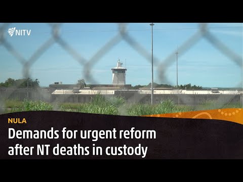 Coalition of Peaks demands urgent reform after deaths in custody | Nula | NITV