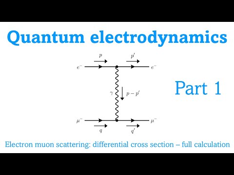 Quantum electrodynamics: electron muon scattering - full differential cross section calculation PT1