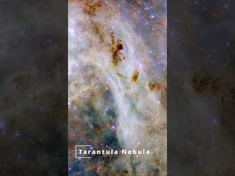Hubble's Dusty Delight: Unveiling the Secrets of the Tarantula Nebula