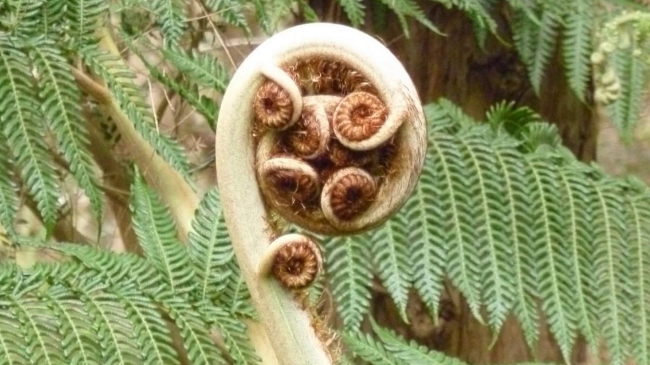 Nature Wallpaper For Pc Desktop Hd