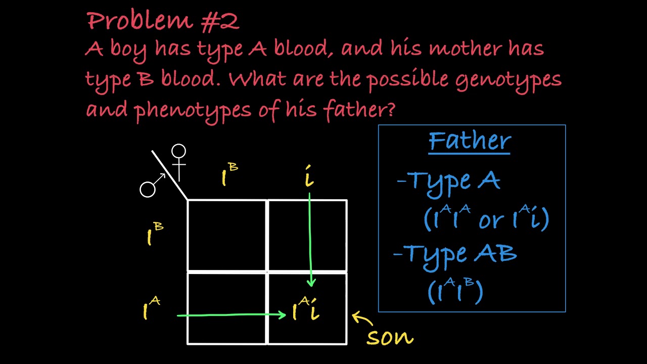 ABO Blood Type Practice Problems