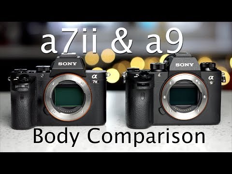 Sony a9 & a7ii Body & Feature Comparison (a7Rii, a7Sii)