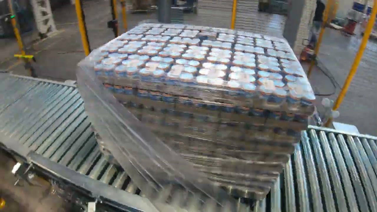 CFT Group - Palletizer CFT 802