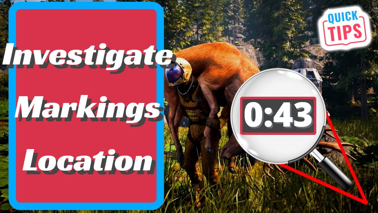 Icarus - Investigate Markings Location