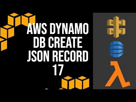 Learn AWS Dynamo DB Create JSON Record 17 - Mind Luster