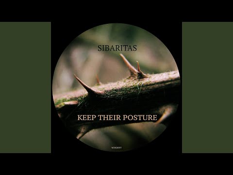 Primitive Rythym (Original Mix)
