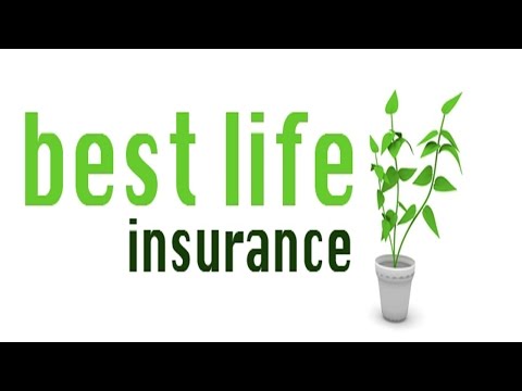 Best Life Insurance Quotes