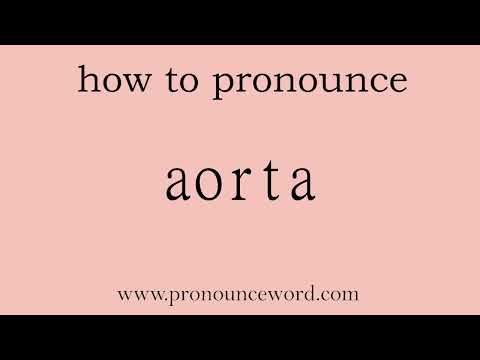 aorta: How to pronounce aorta in english (correct!).Start with A. Learn from me.