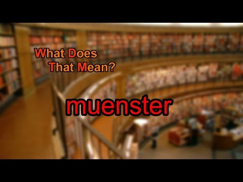 What does muenster mean?