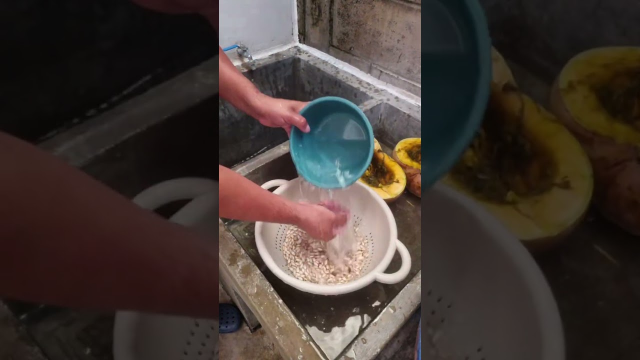 Semillas de Pepitoria. 😊😋🤗