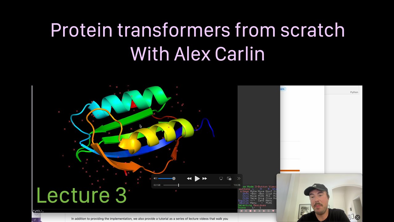 Lecture 3 - Protein transformers from scratch