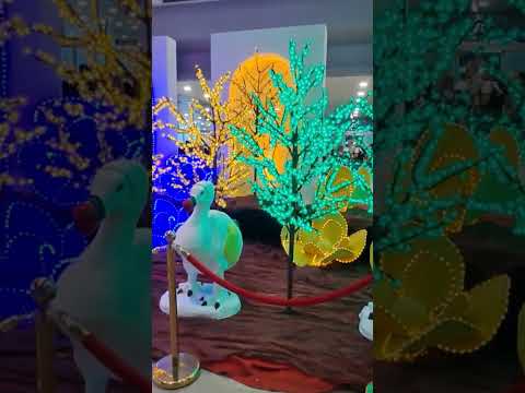 Mauritius 55 independence day in airport #viral #mauritius #mauritiuscountry #airport #sound