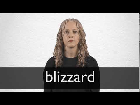 BLIZZARD - Meaning & Translations | Collins English Dictionary