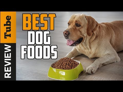 ✅Dog Food: Best Dog Food (Buying Guide)