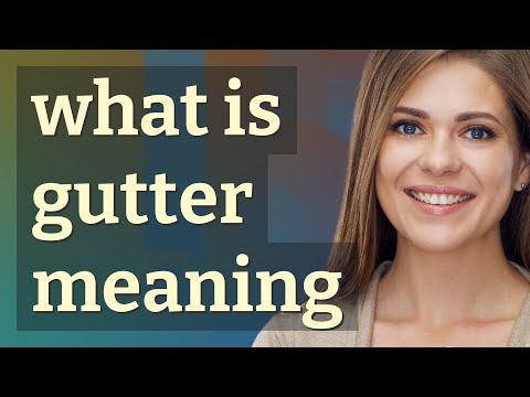 Gutter | meaning of Gutter