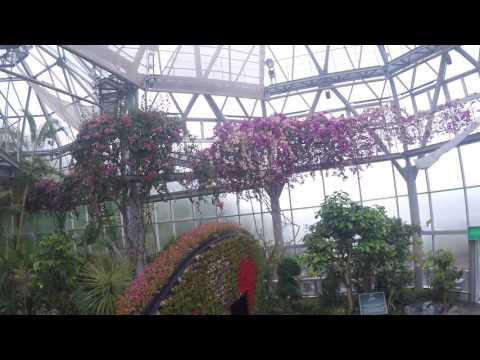 Inside Glass House Kobe – Videologue