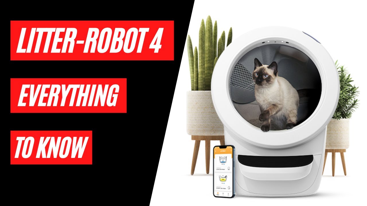 Litter-Robot 4: Everything to Know