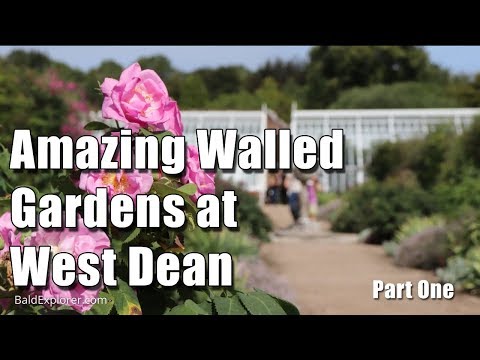 A Look at West Dean College Walled Gardens